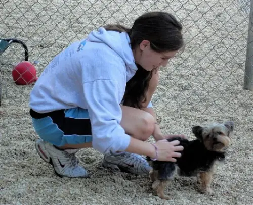 Exercise Grounds - Preston Country Club For Pets